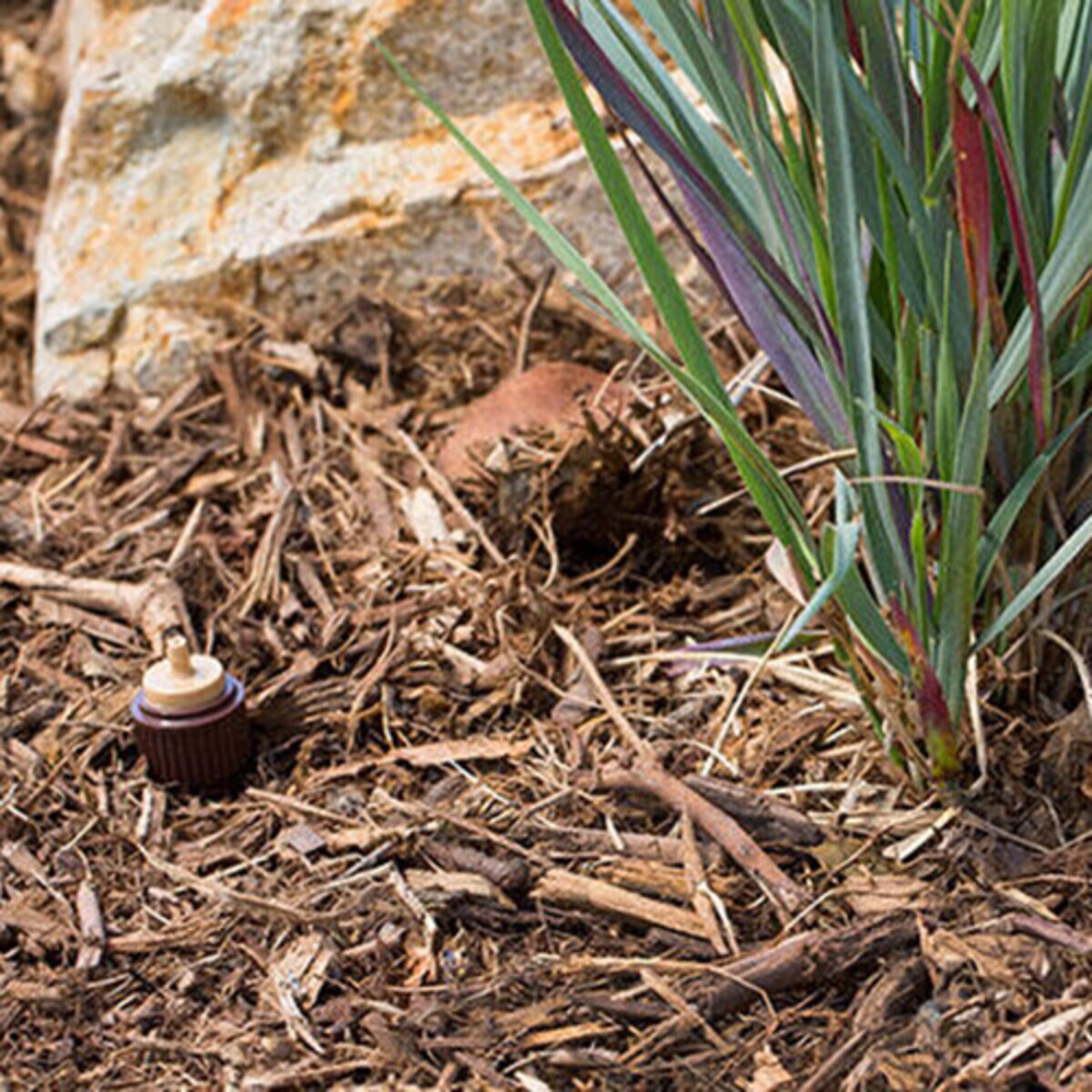 Hunter IH Riser 24 in | SiteOne US