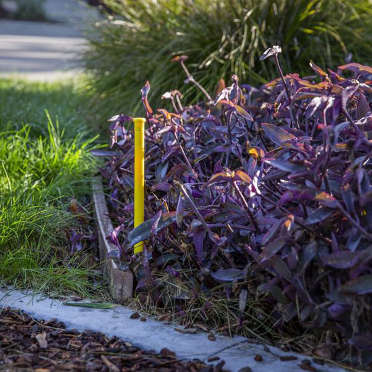 Hunter Eco-Indicator 12 in | SiteOne US