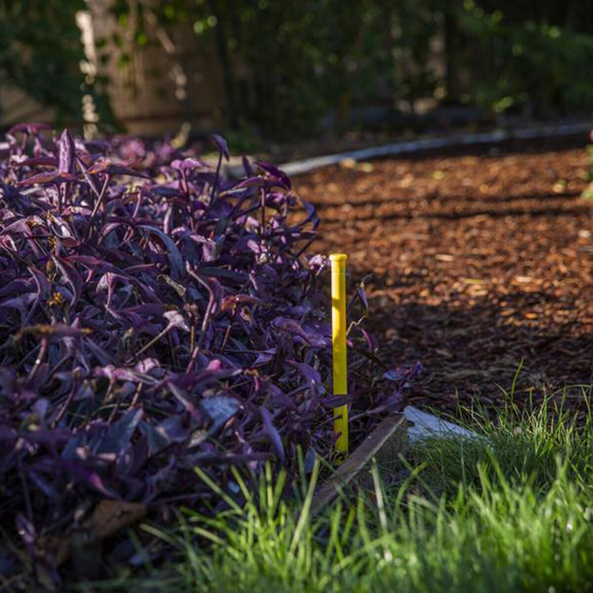 Hunter Eco-Indicator 12 in | SiteOne US