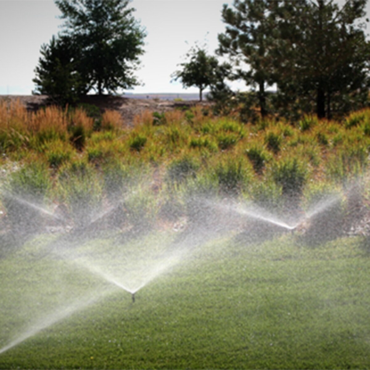 6 Ps Ultra With 17A Nozzle | SiteOne US