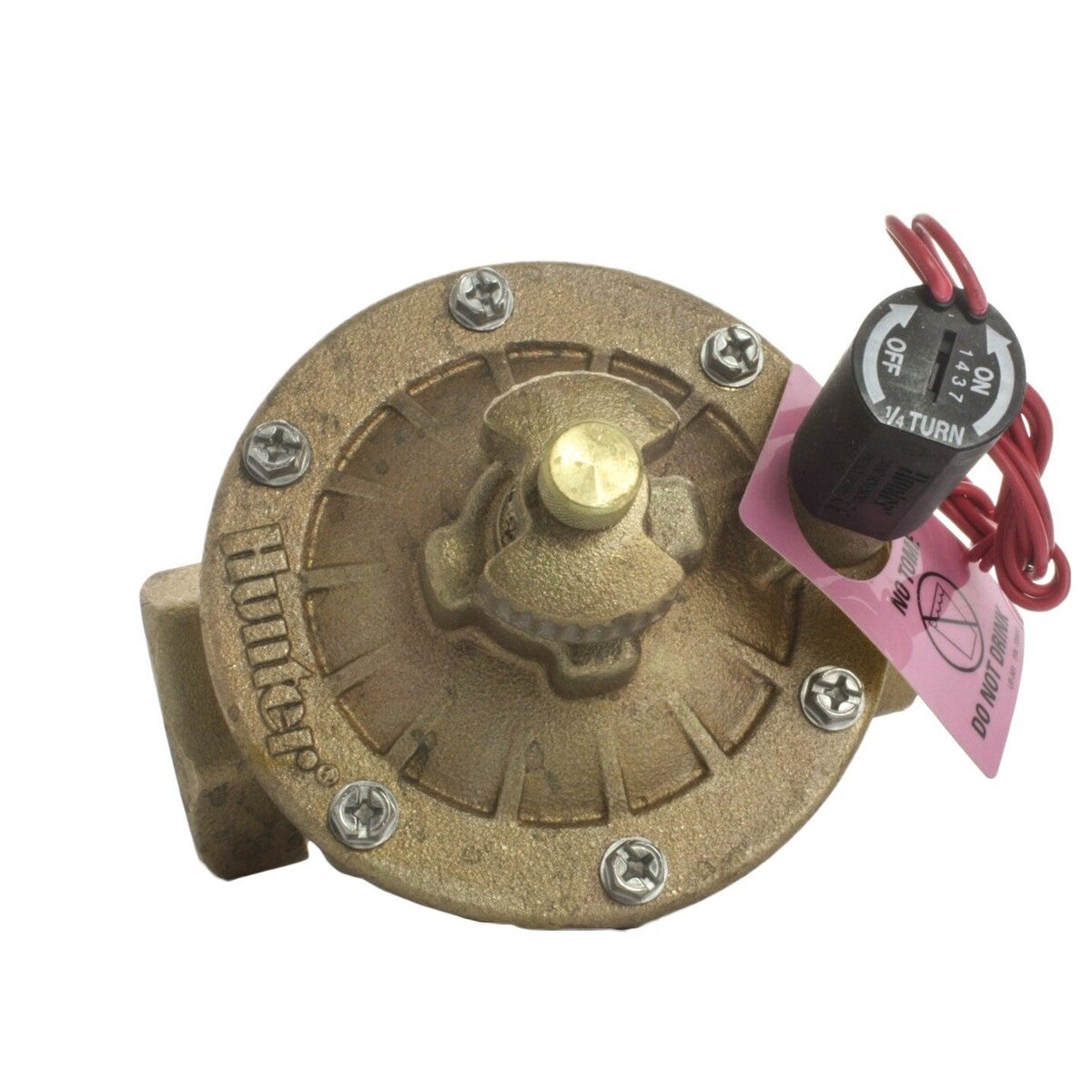 Hunter Globe Valve IBV Brass 1-1/2 in. w/ Flow Control and Filter ...