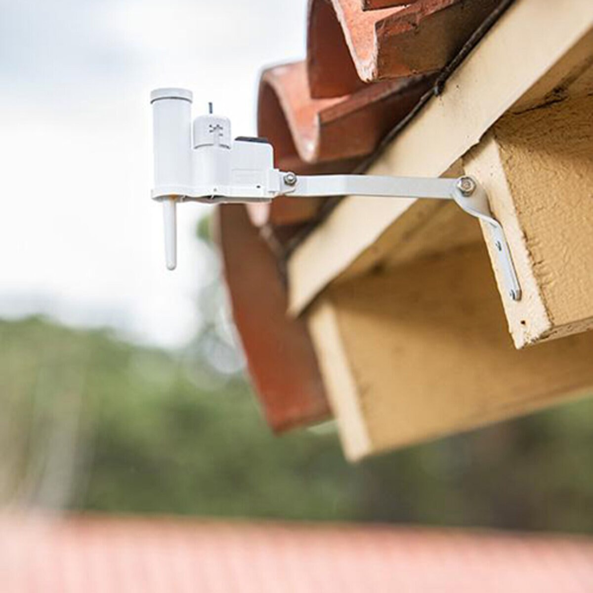 Hunter Rain Sensor Wired Adjustable 1/8 - 3/4 in. Rainfall | SiteOne US