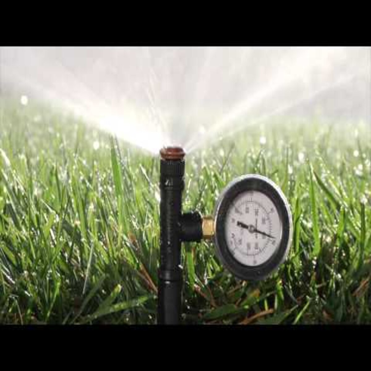 Hunter MP Rotator MP3000 Nozzle 22 ft. - 30 ft. 360 Degree | SiteOne US