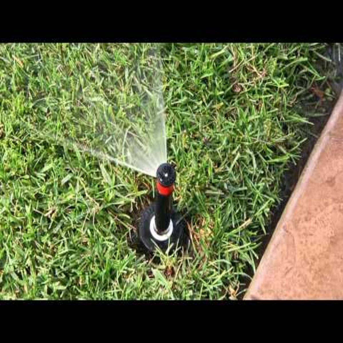 Hunter Pro-Spray 4 in. Pop Up | SiteOne US