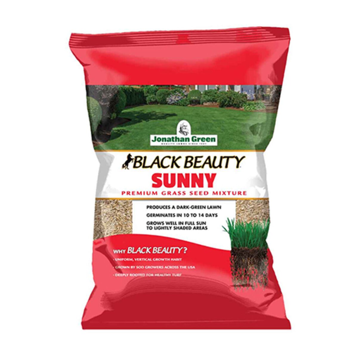 Jonathan Green Sunny Grass Seed 3 lb | SiteOne US