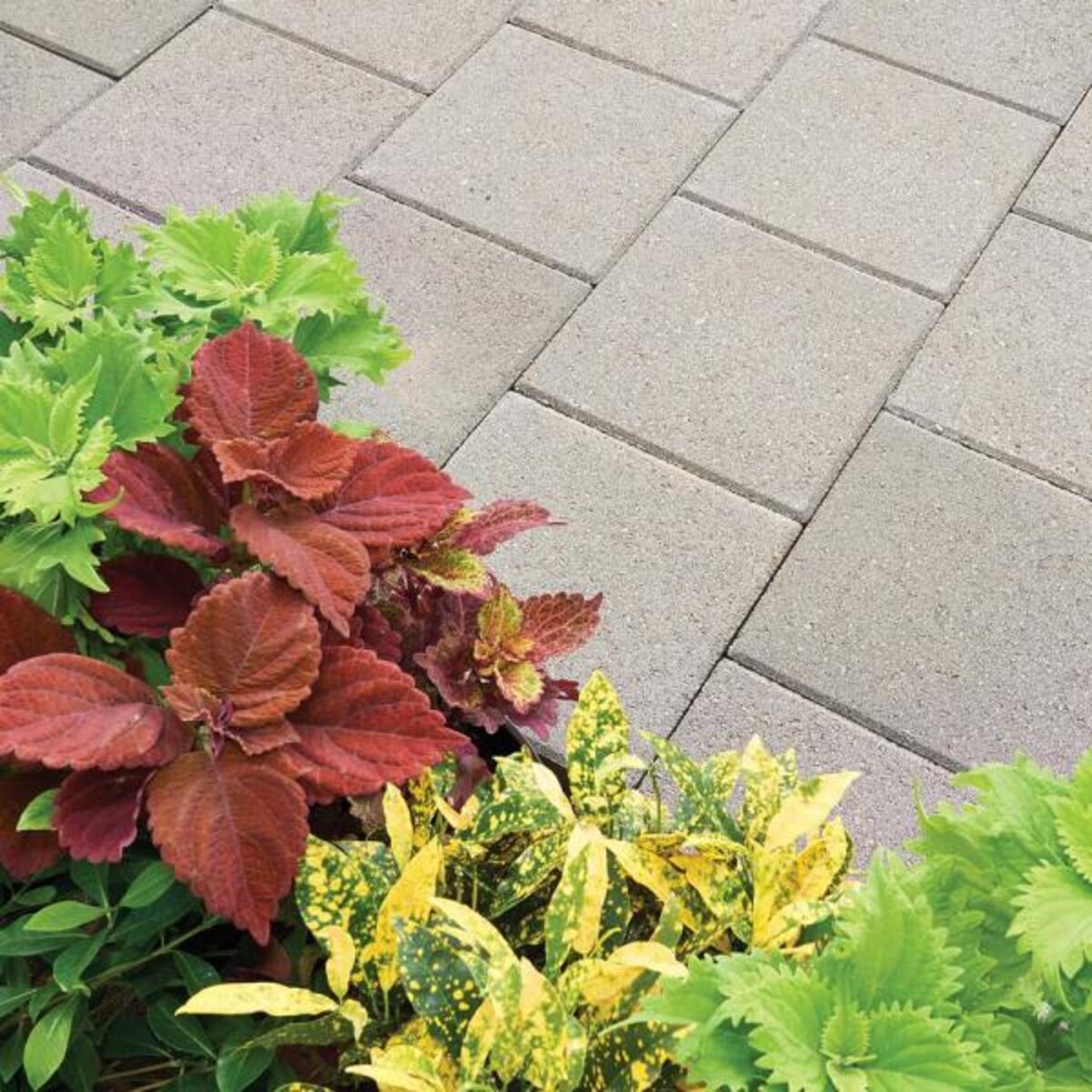 Keystone Square Step Stone Smooth Pewter 24 in. x 24 in. (112 sq. ft ...