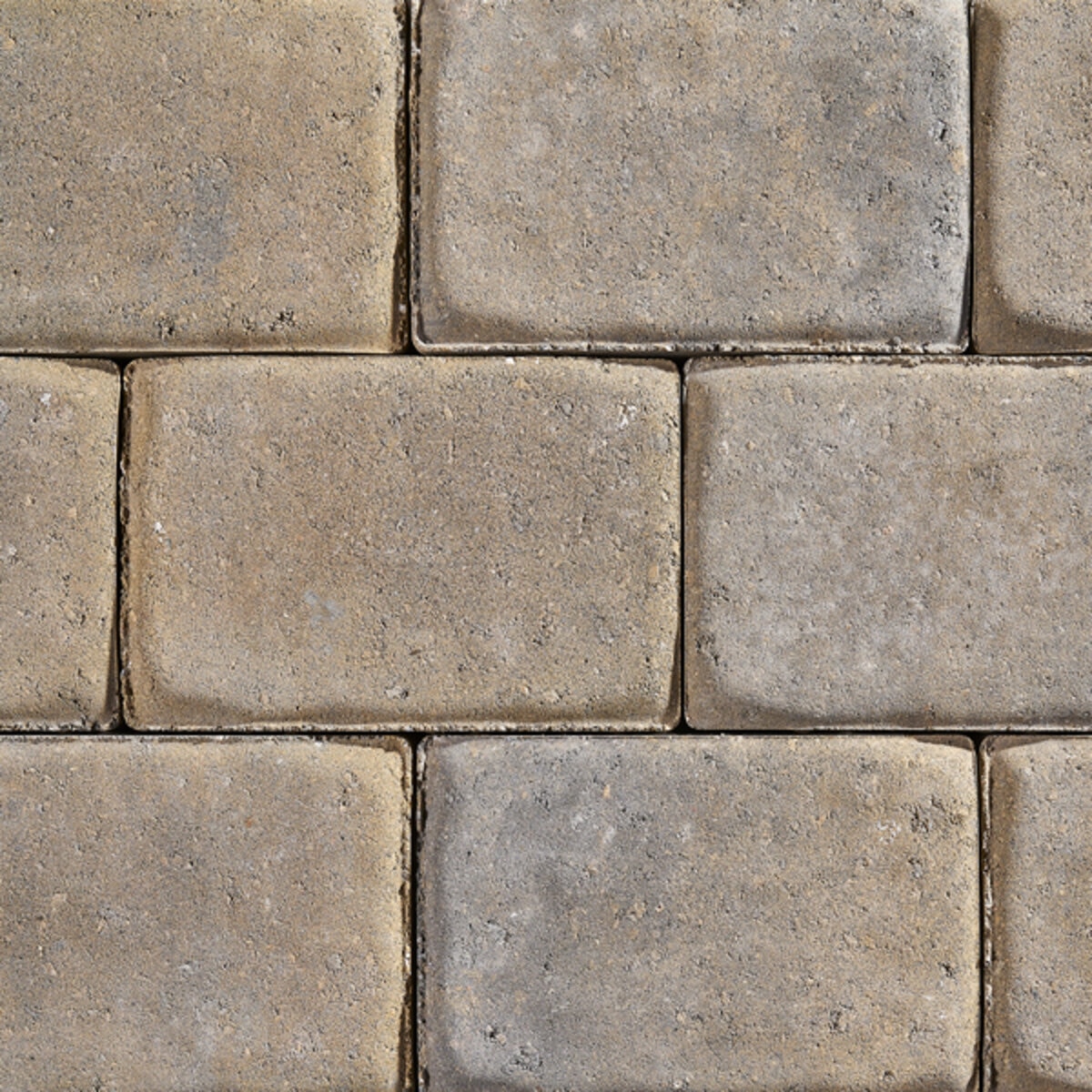 Keystone Plaza Stone Paver Rectangle Carolina Blend 6 in. x 9 in. 60 mm ...