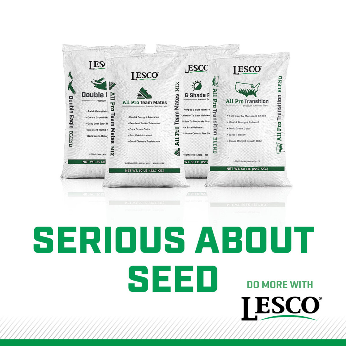 LESCO All Pro Transition Tall Fescue Seed Blend | SiteOne US
