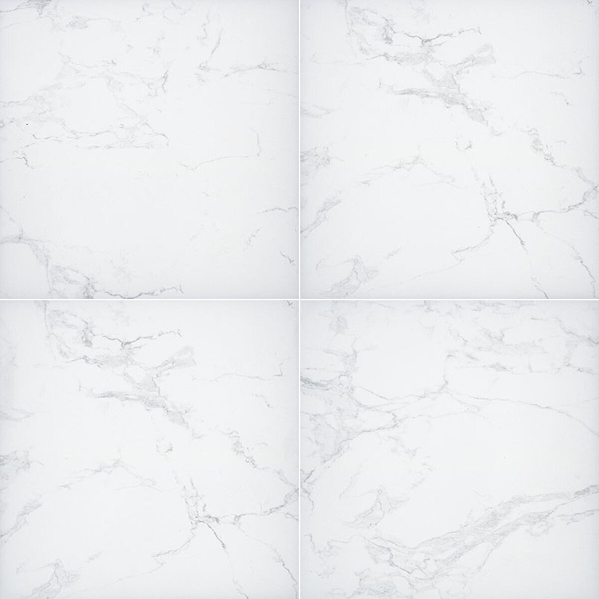 MSI Arterra Porcelain Paver Matte Praia Carrara 24 in. x 24 in. x 2 cm ...