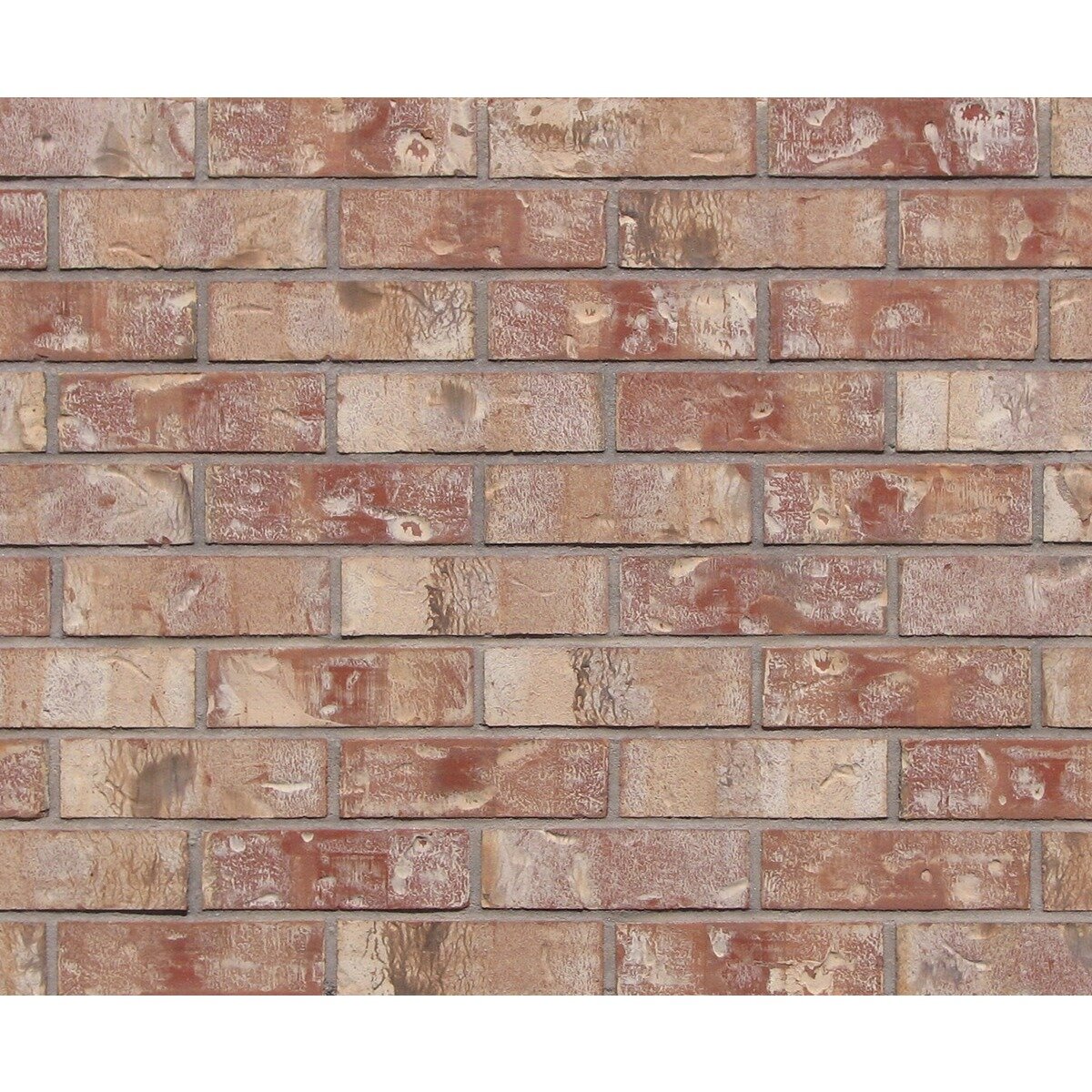 McNear Thin Brick Town Series Standard Flats Hacienda (50 pc./box ...