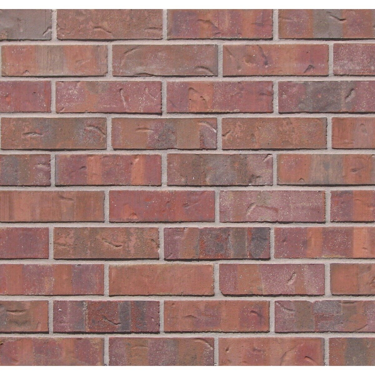 McNear Brick Town Series Standard Cored Cascada (500 pc./pallet ...
