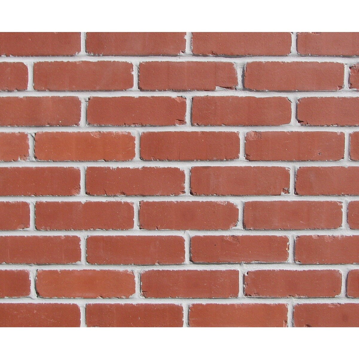 McNear Thin Brick Old California Series Standard Flats Calaveras (8.3 ...
