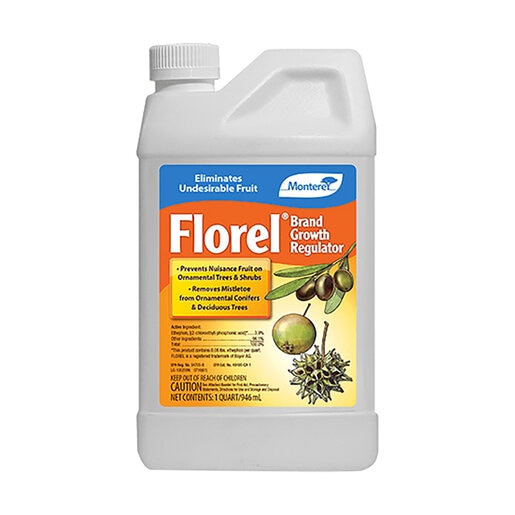Florel Brand Growth Regulator 1 qt | SiteOne US