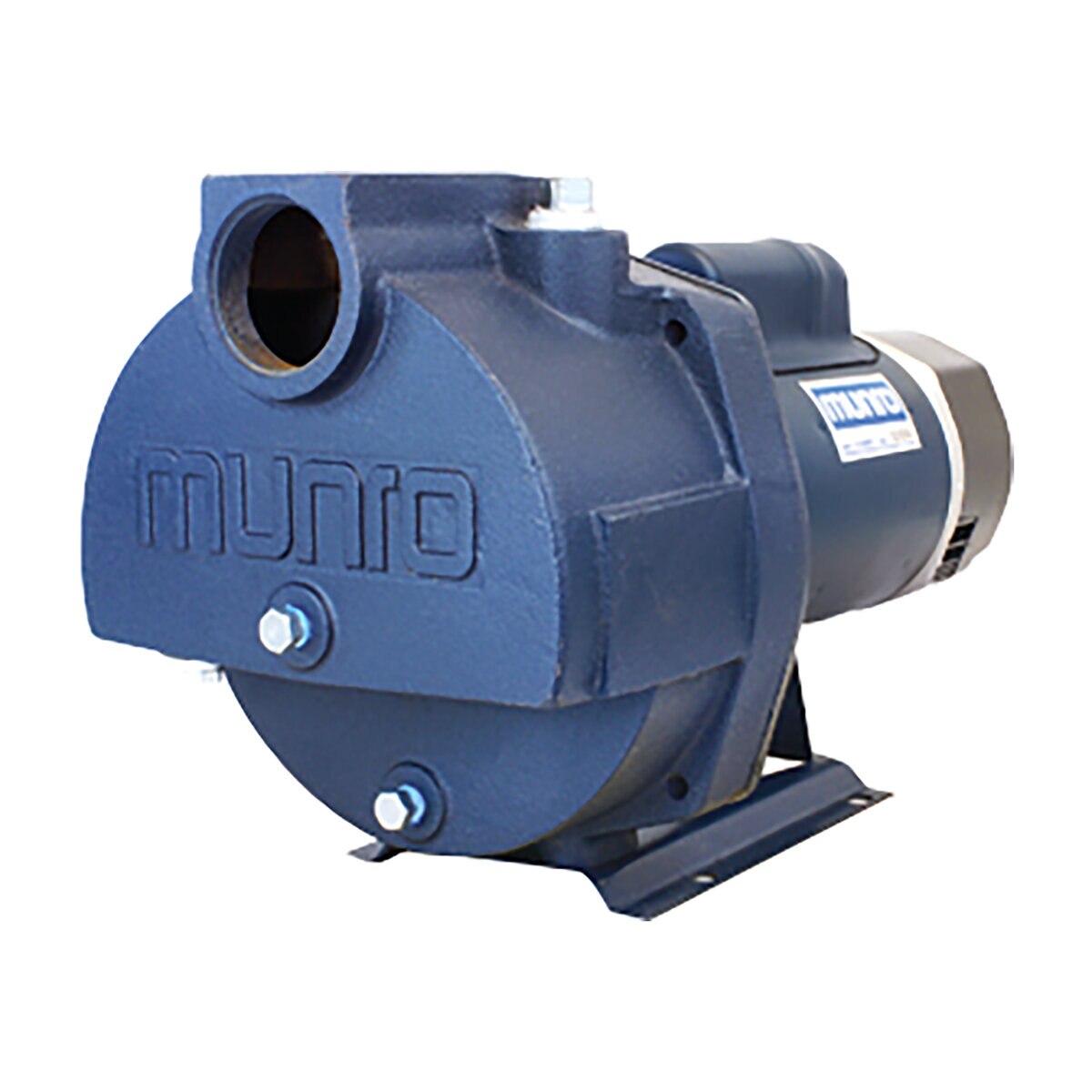 Munro LP Series Self-Priming Pump Cast Iron 3 HP | SiteOne US