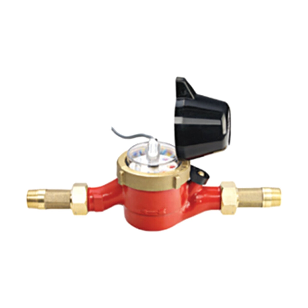 Netafim WMR Cast Iron Water Meter 2 in. MIPT Digital (ER) Register 1 ...