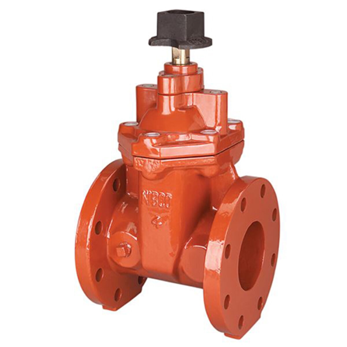 Nibco F619 Resilient Wedge Gate Valve Ductile Iron 2 in. Flanged with ...