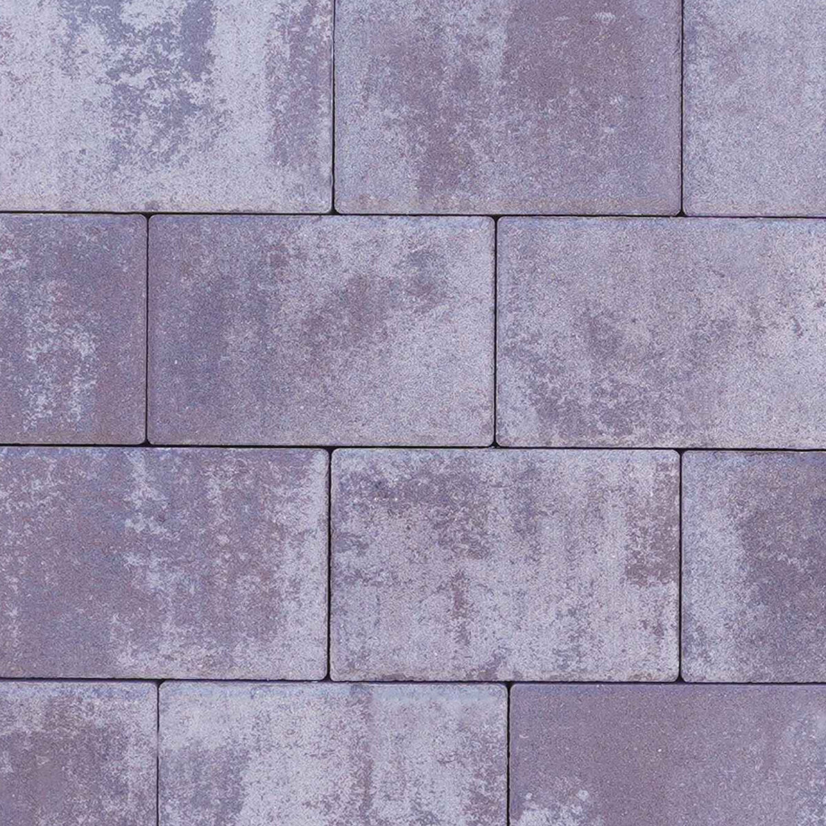 Nicolock Alpine Contemporary Paver 8 in. x 12 in. Hudson Valley Blend ...