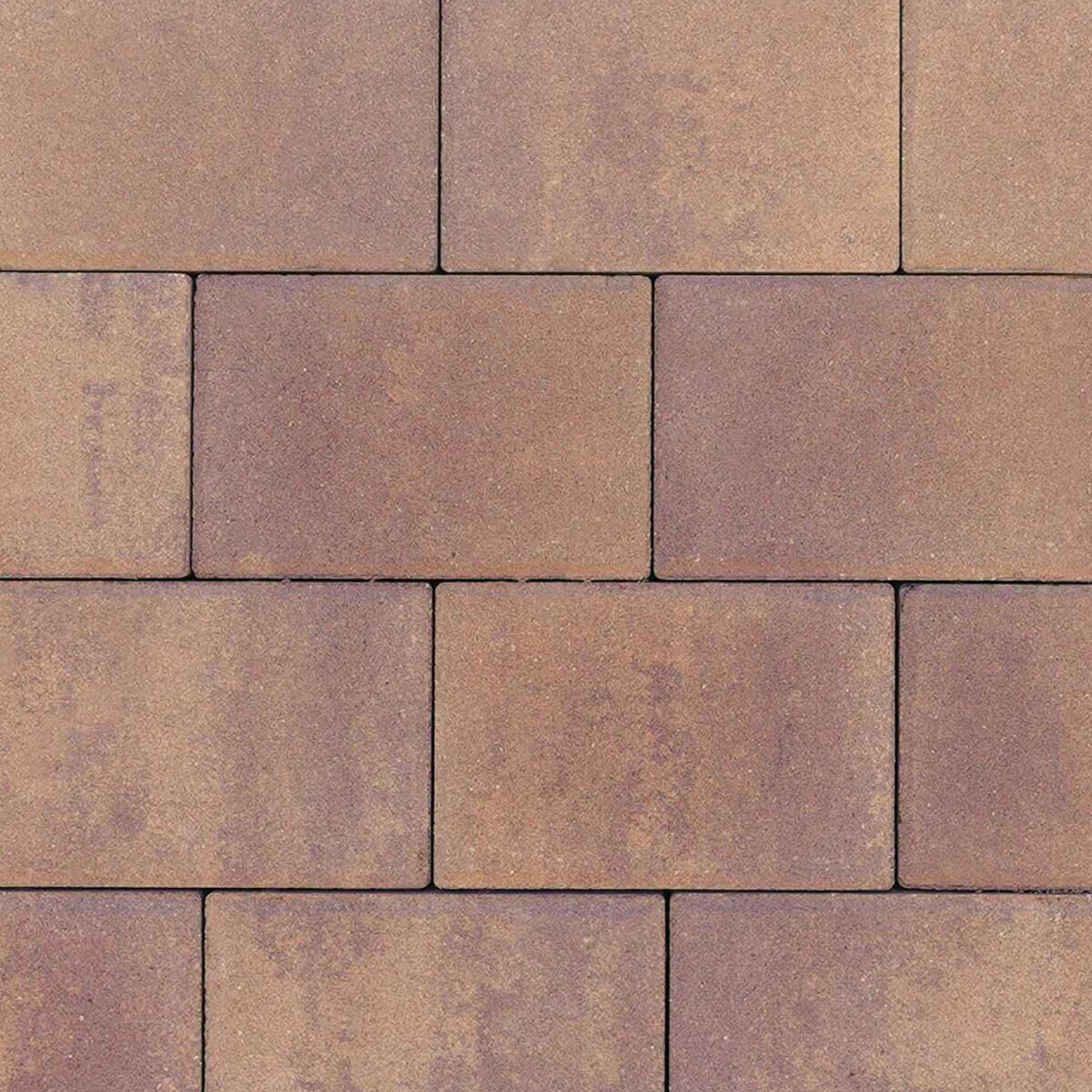 Nicolock Alpine Contemporary Paver 8 in. x 12 in. Golde | SiteOne