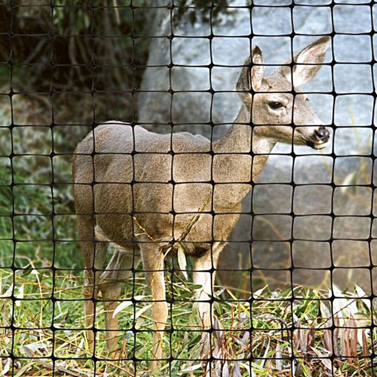 Heavy Duty Deer Fence 6 ft. x 100 ft | SiteOne US