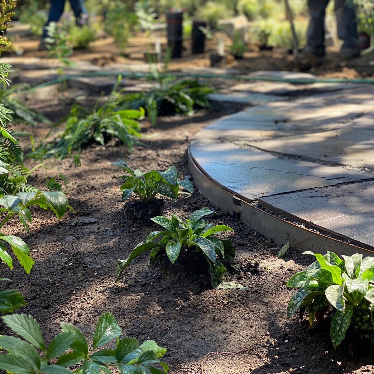 Border Concepts Border Flex Steel Landscape Edging Brown 13 Gauge x 4 ...