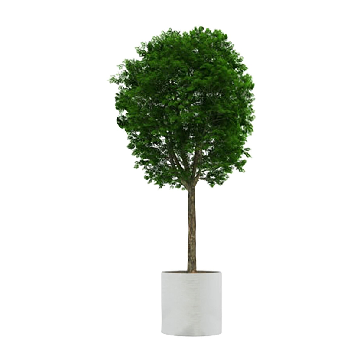 Treestake Solutions Root Anchor - Below Grade Tree Stake for 200 gal ...