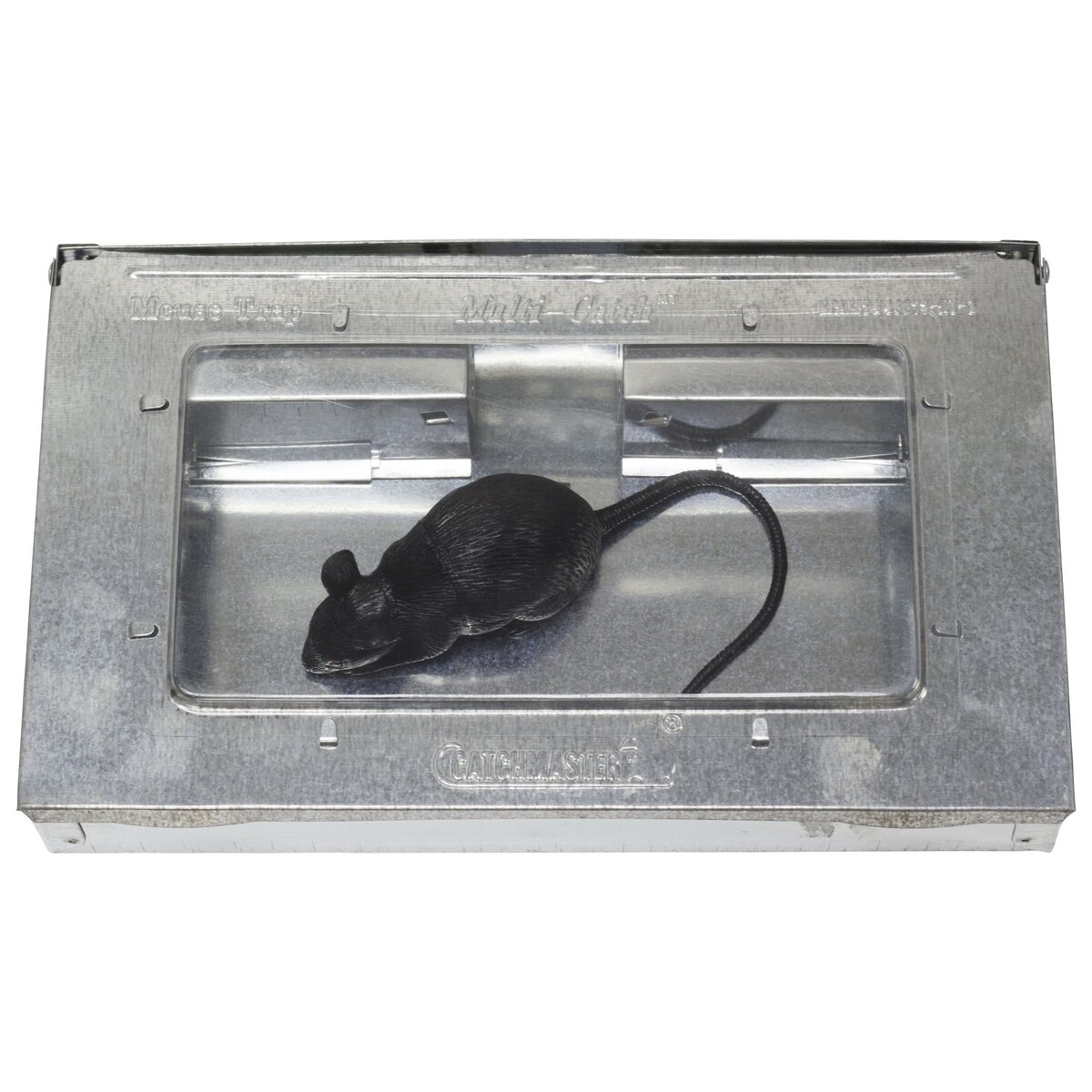 CatchMaster (12/Case) Multi-Catch Mouse Trap - Solid lid | SiteOne US