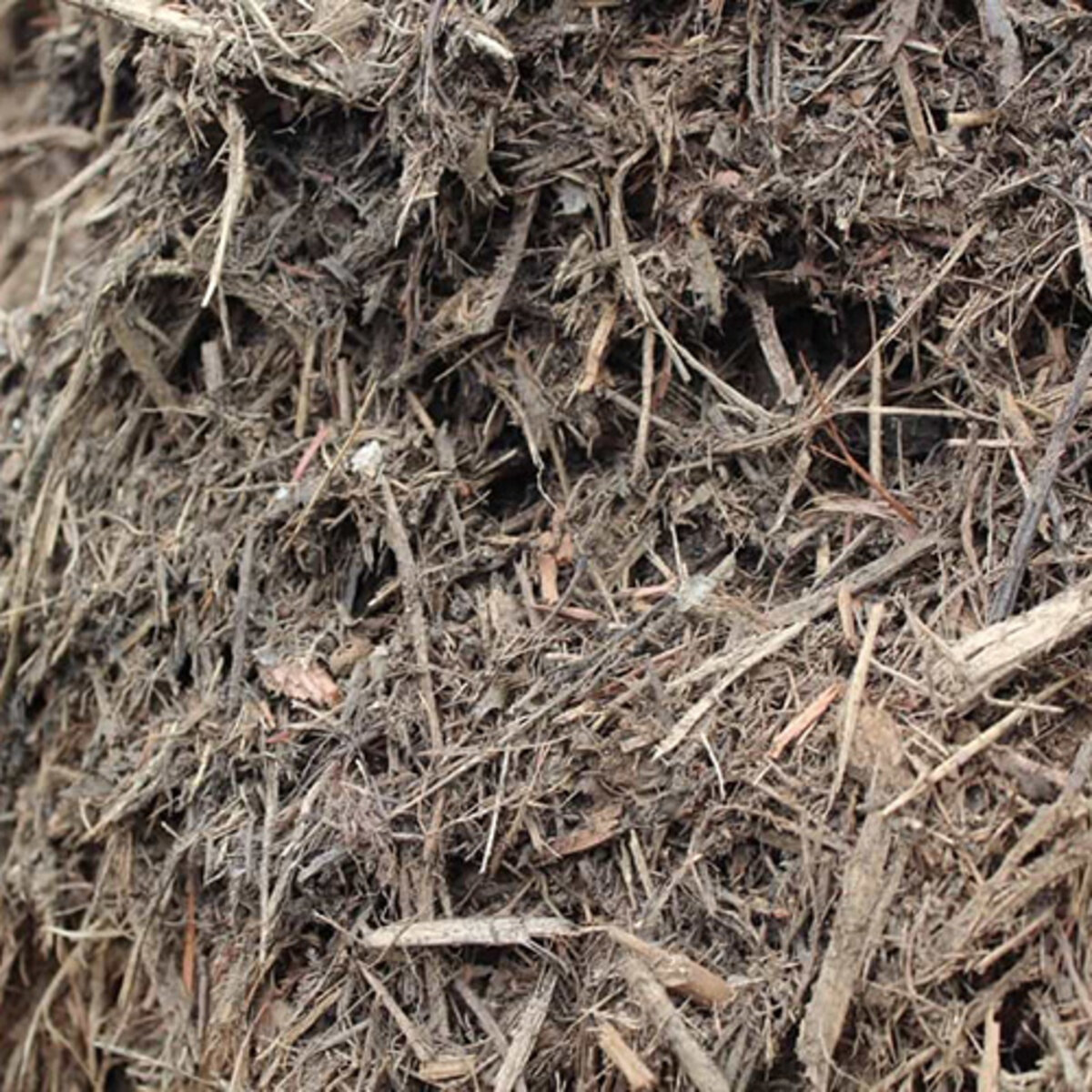 Economy Bark Mulch Bulk (per cu. yd.) | SiteOne US