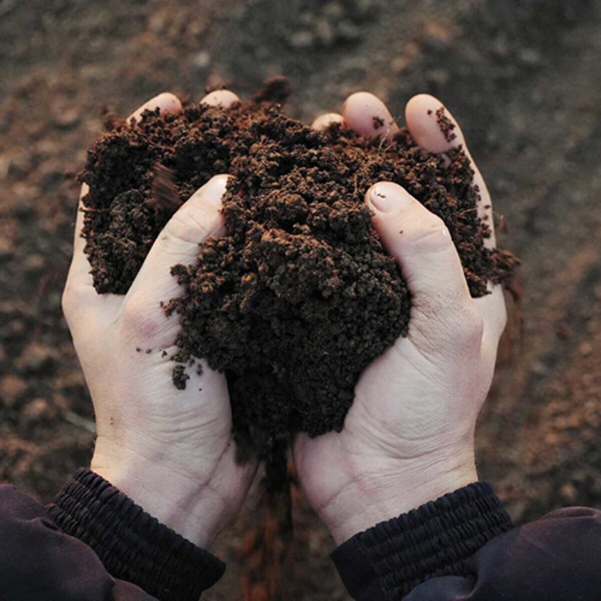 CU Structural Soil Bulk (per ton) | SiteOne US