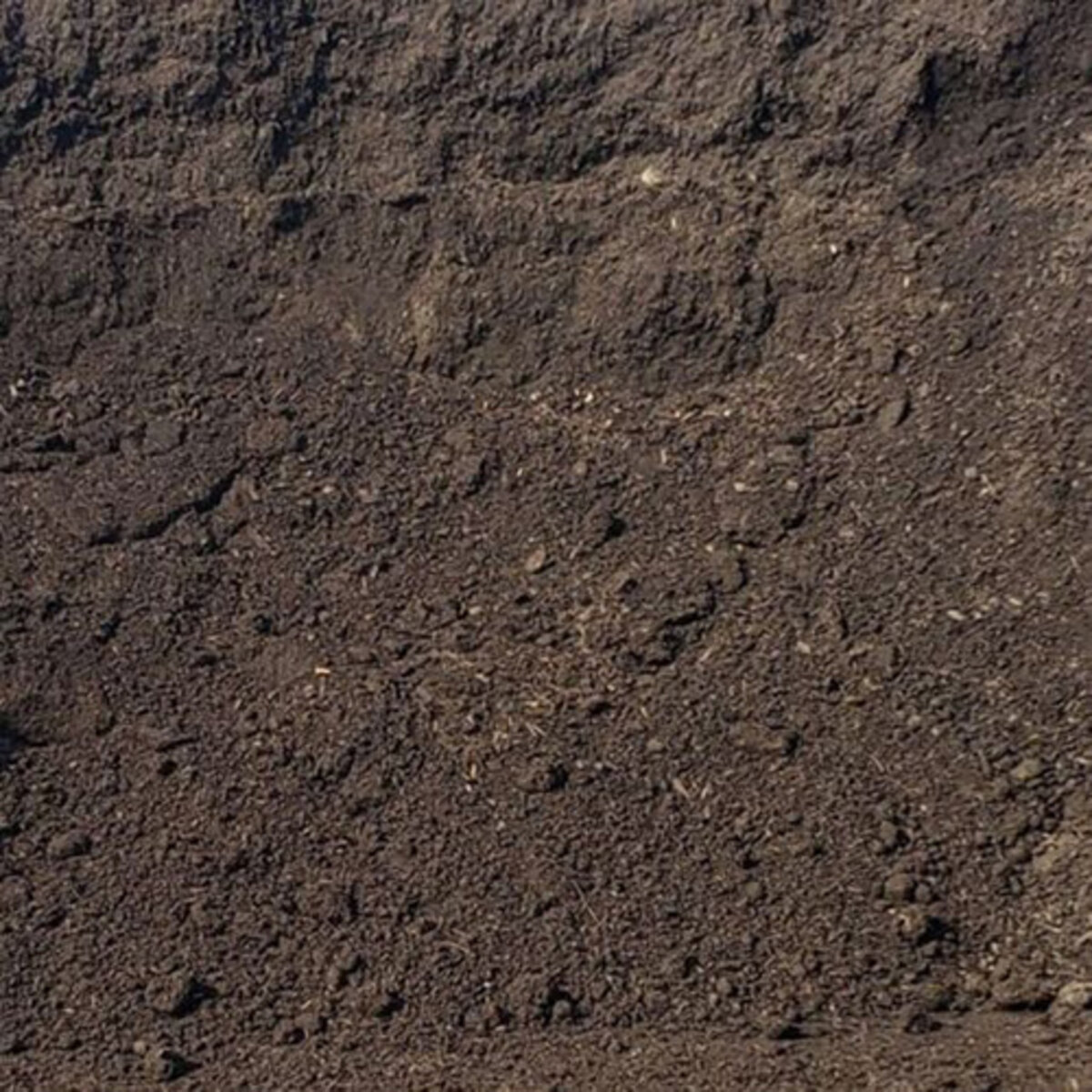 Enriched Top Soil (Sandy Loam Top Soil, Dairy Manure Compost) Bulk (per ...