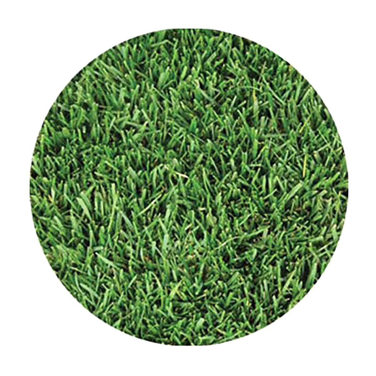 Blend Sod Biofiltration: Needlegrass/Fescue/Barley (per sq. ft ...