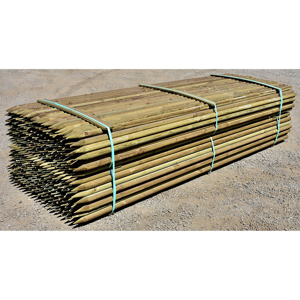 Lodgepole Tree Stake Treated 2 in. x 2 in. x 10 ft | SiteOne US