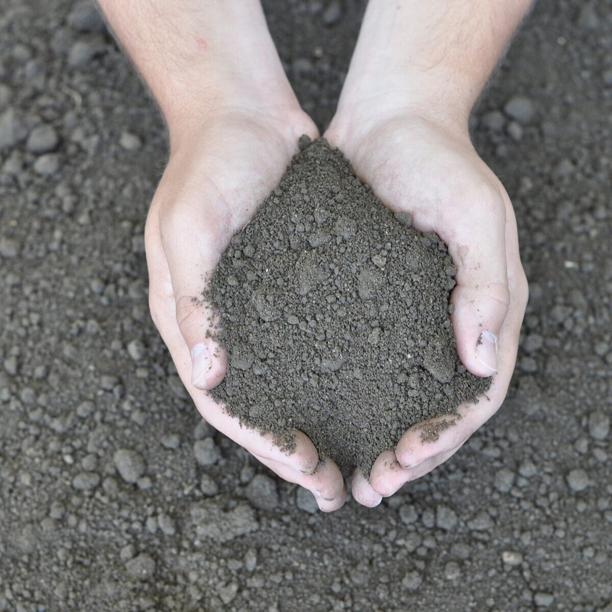 Pulverized Top Soil Bulk (per cu. yd.) | SiteOne US