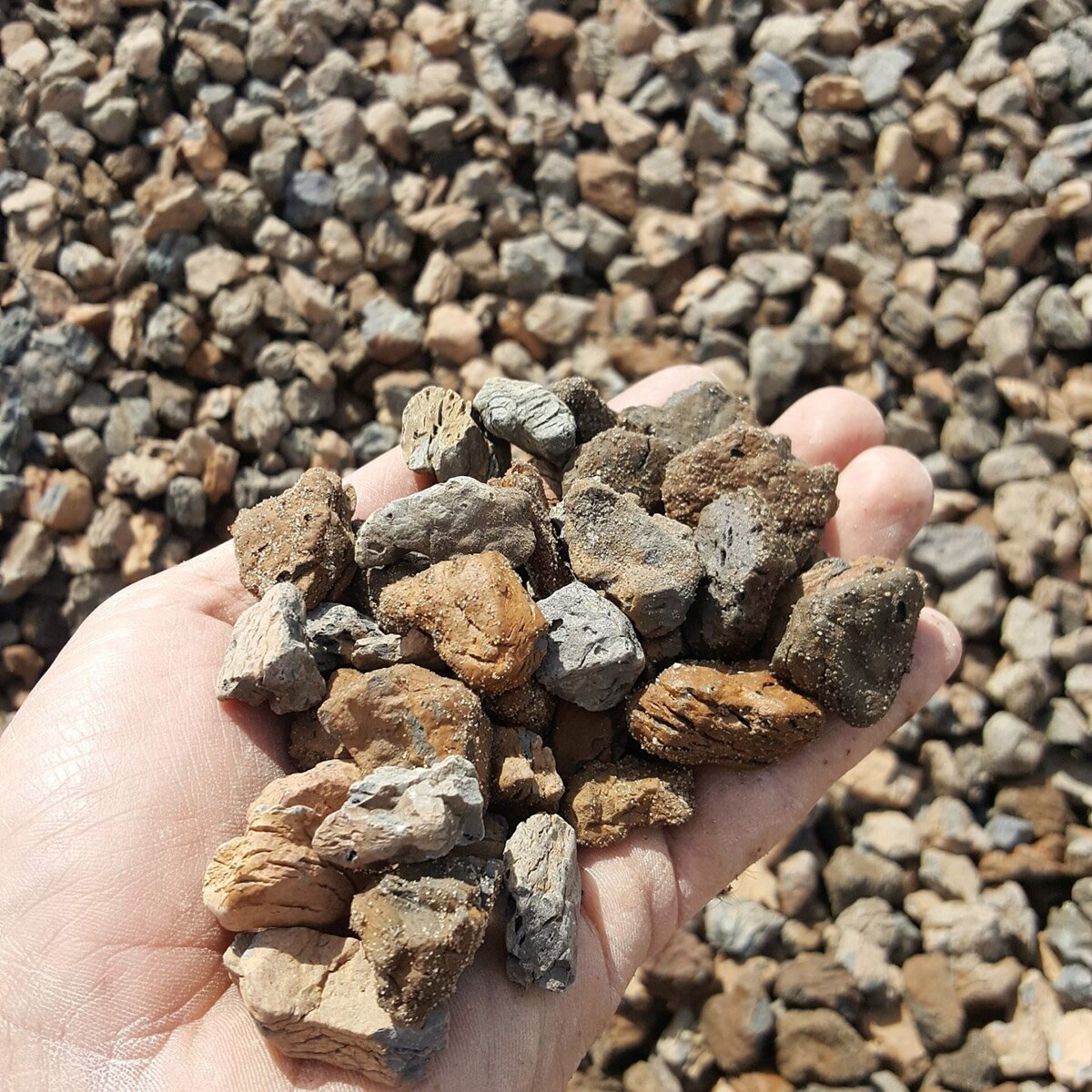 Bulk Stone Bark | SiteOne US