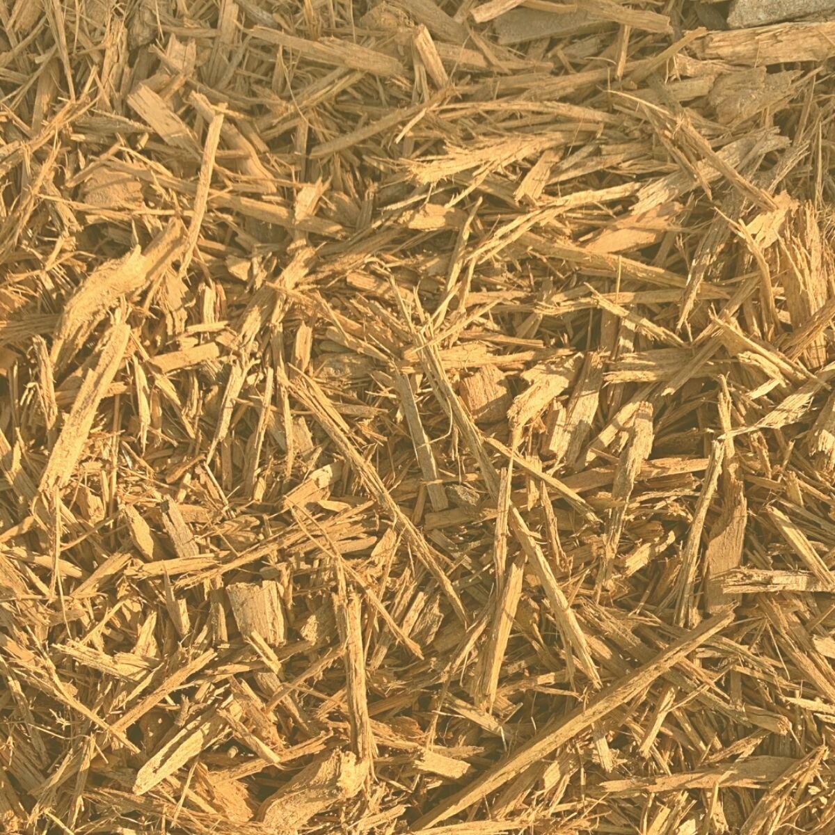 Dyed Gold Mulch Bulk (per cu. yd.) | SiteOne US