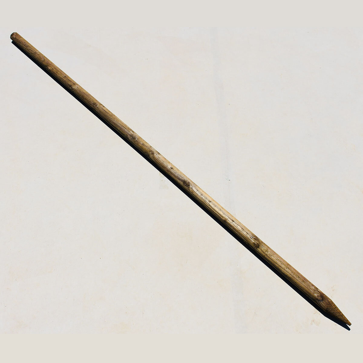Lodgepole Tree Stake Treated 2 in. x 2 in. x 8 ft | SiteOne US