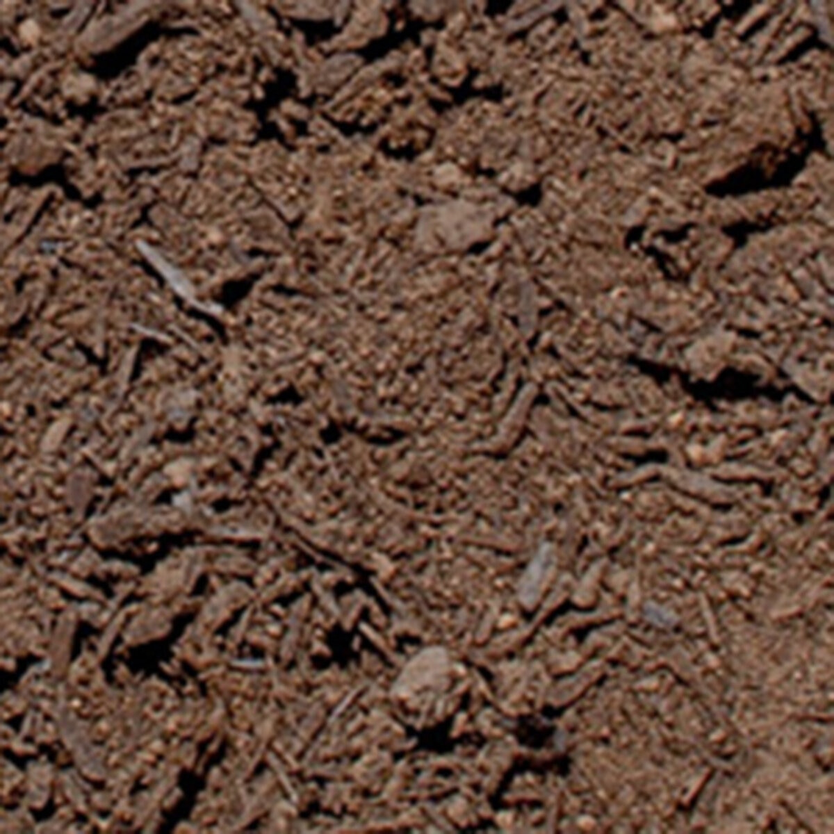 Enriched Top Soil Bulk (per cu. yd.) | SiteOne US