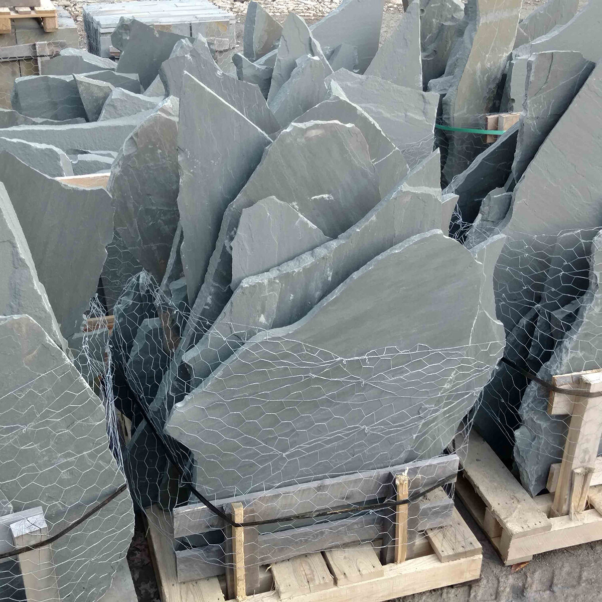 Flagstone Bluestone Select Blue Irregular Stand Up 1 1/2 - 2 1/2 in ...