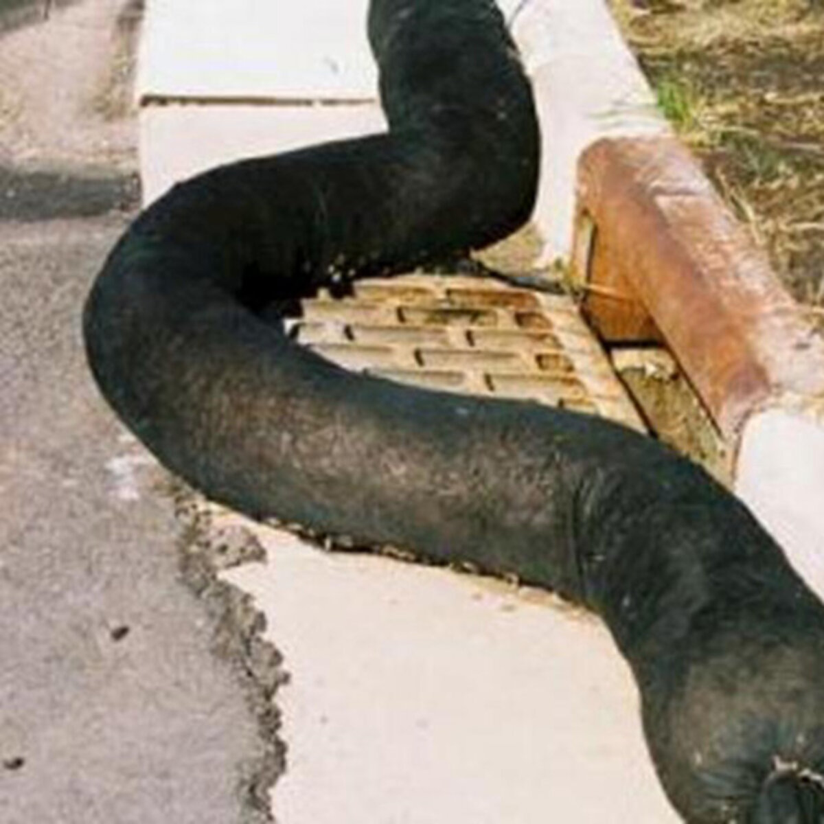 MKB Filtrexx Siltsoxx Compost Filter Sock w/ Stakes 8 in. x 20 ft. (10 ...