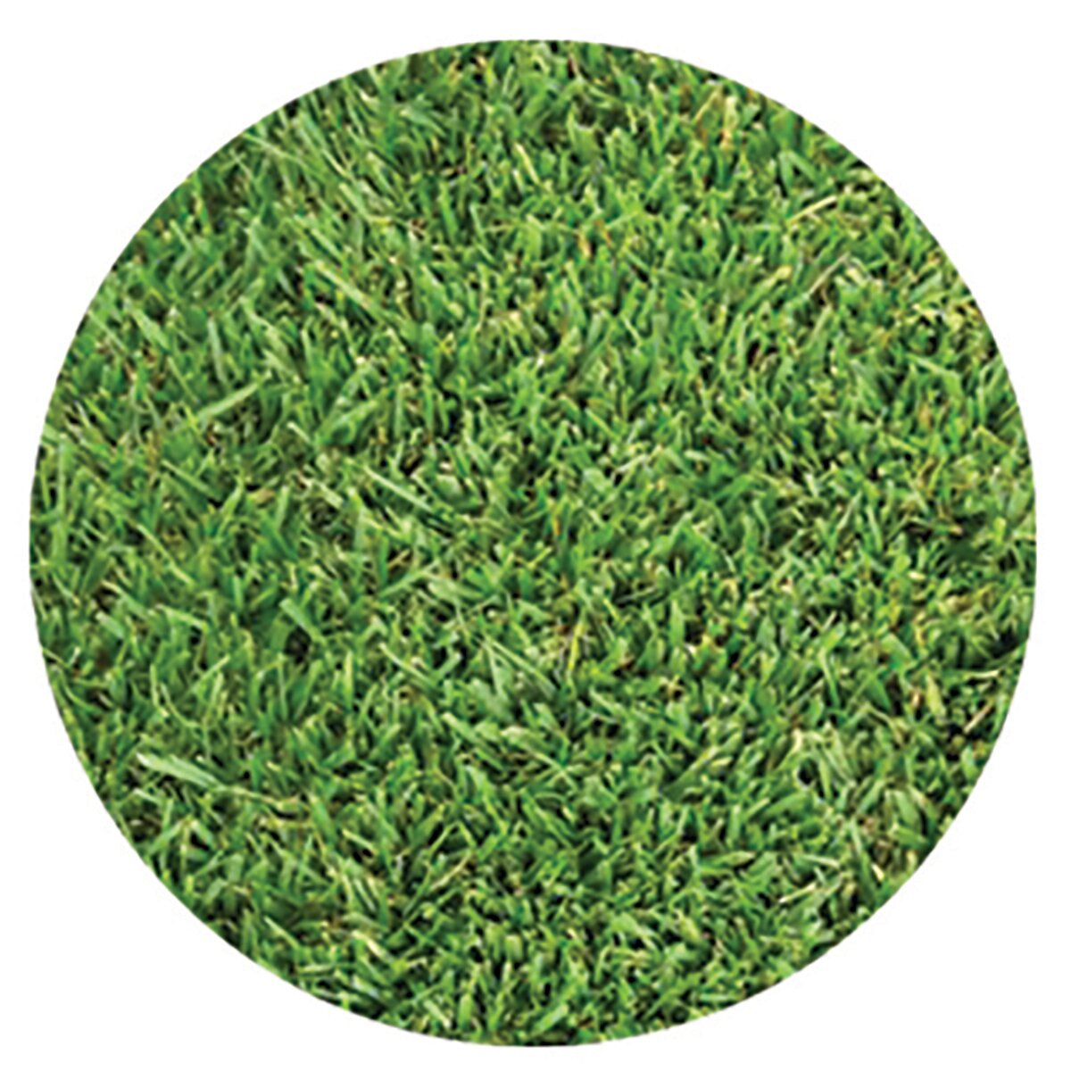Blend Sod Shade Blend: Tall Fescue/Fine Fescue (per sq. ft.) | SiteOne US