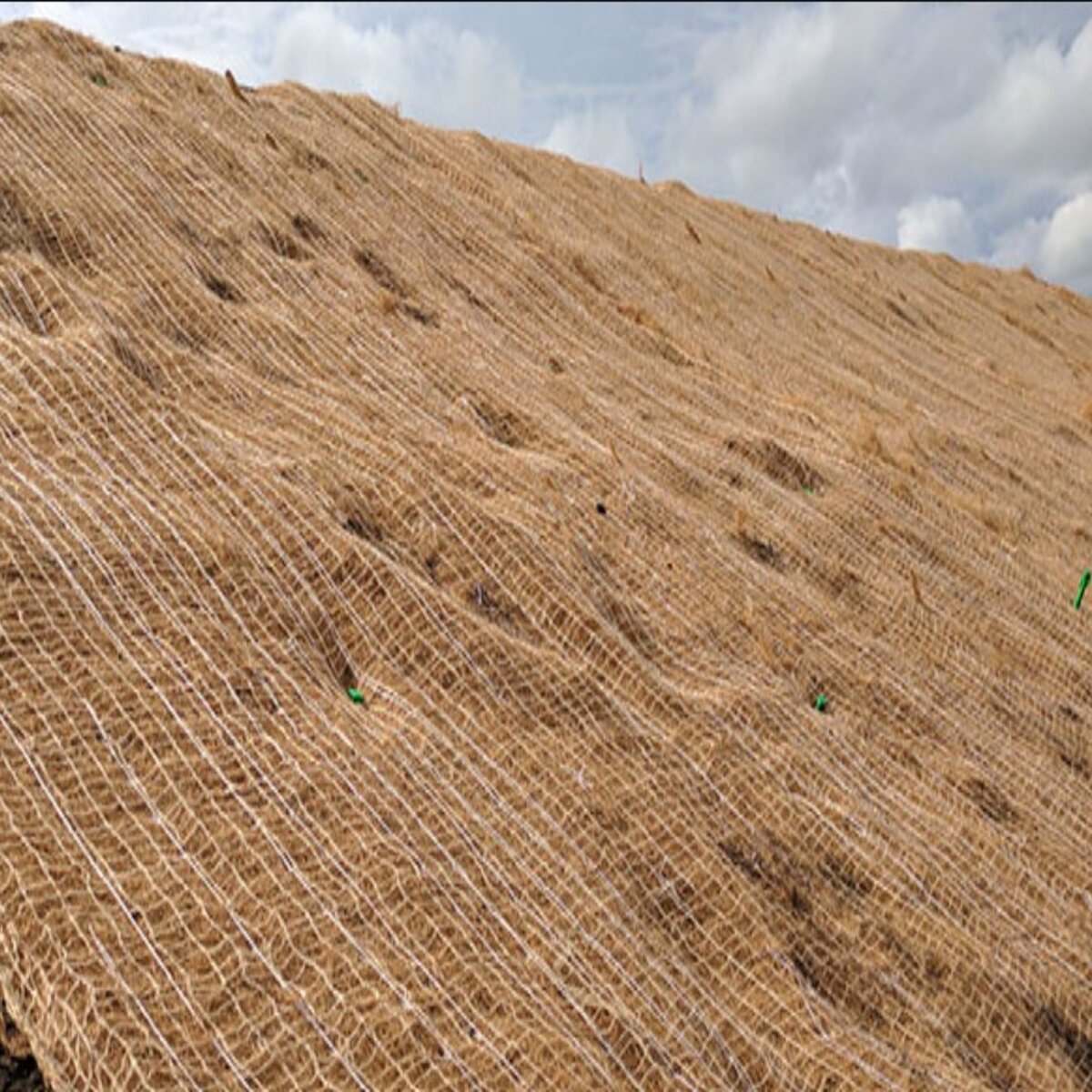 Western Green Coconut Blanket Double Biodegradable Net 8 ft. x 45 ft ...