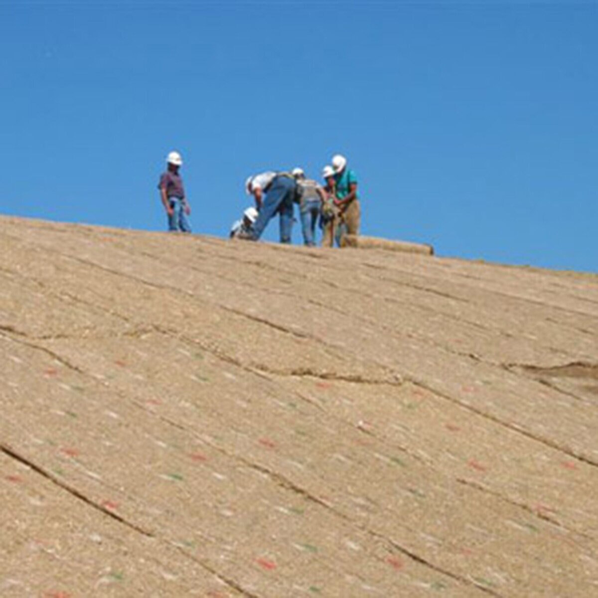 NAG C125 Erosion Control Blanket with Bionet | SiteOne US