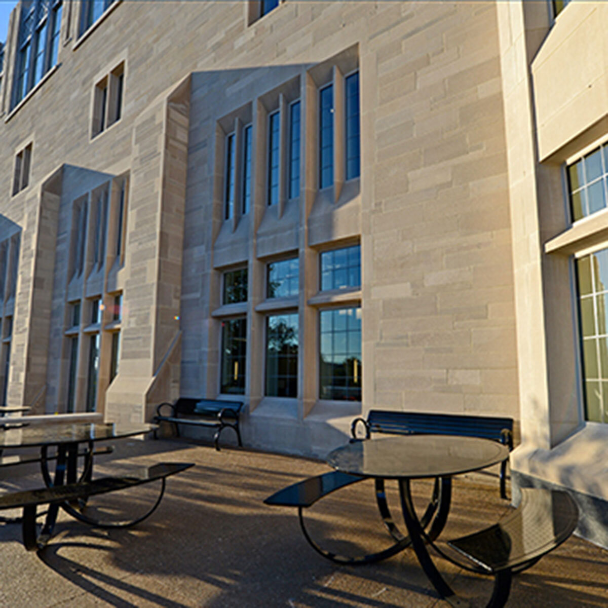 Tread Indiana Limestone Full Color Rockface 2 Long 2-1/4 in. x 12 in. x ...