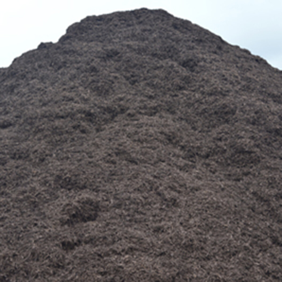 Dyed Coffee Dark Brown Fine Shredded Mulch Bulk (per cu. yd.) | SiteOne US