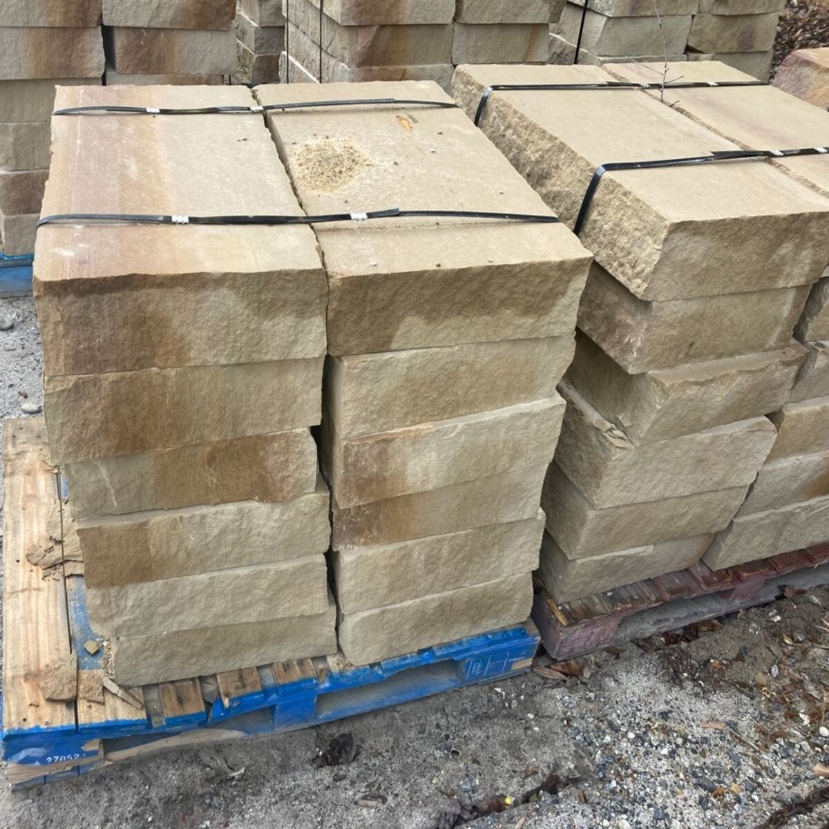 Step Saddlewood Sandstone 18 in. x 36 in | SiteOne US