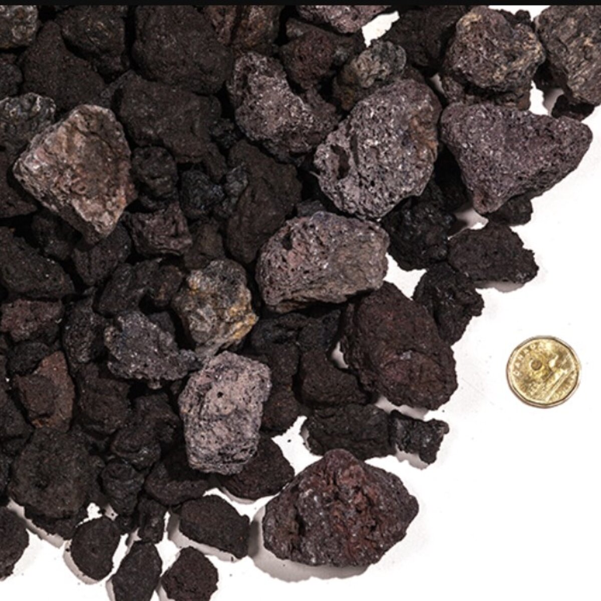 Bulk Black Lava Rock Large | SiteOne