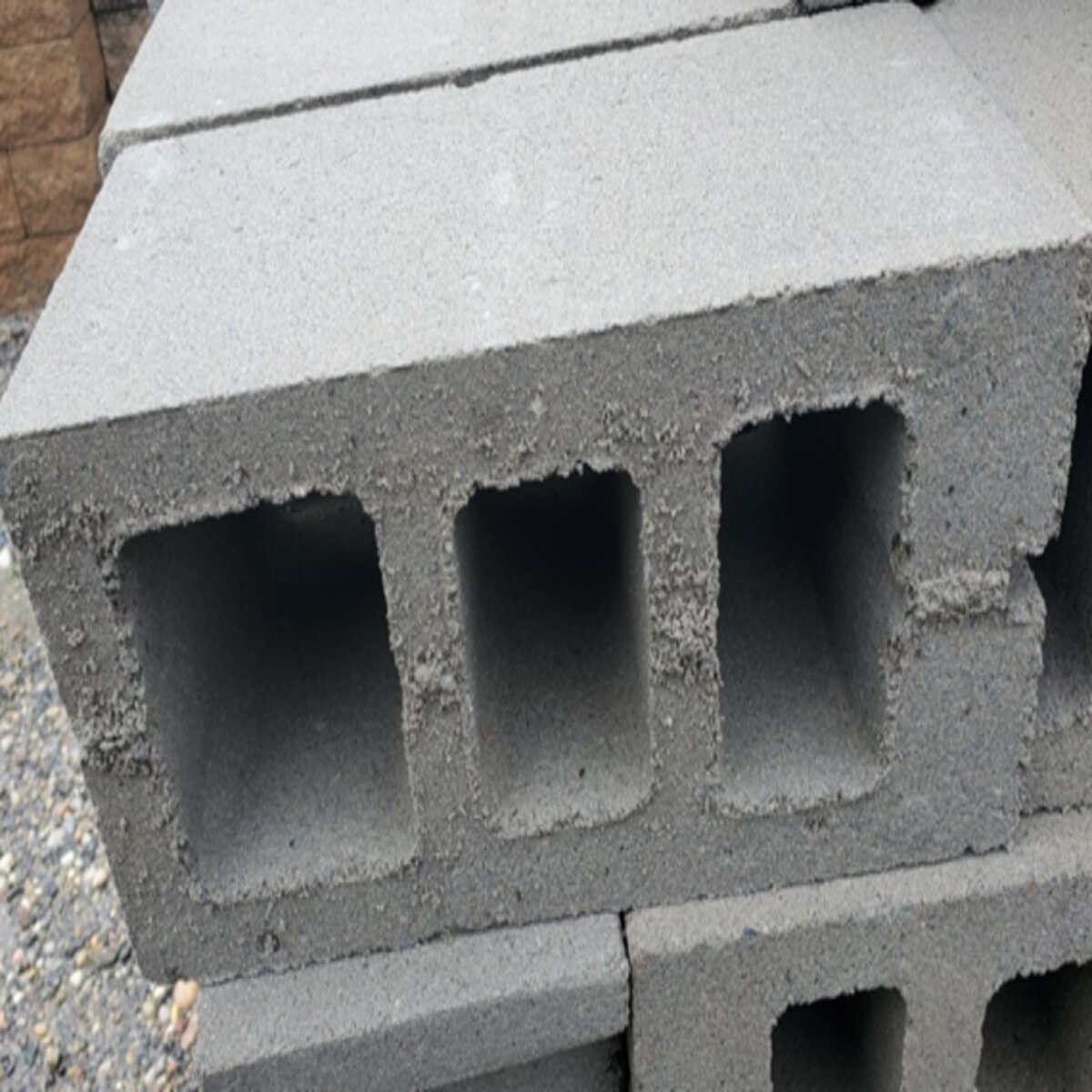 Concrete Block Standard Cored 8 in. x 8 in. x 16 in | SiteOne US