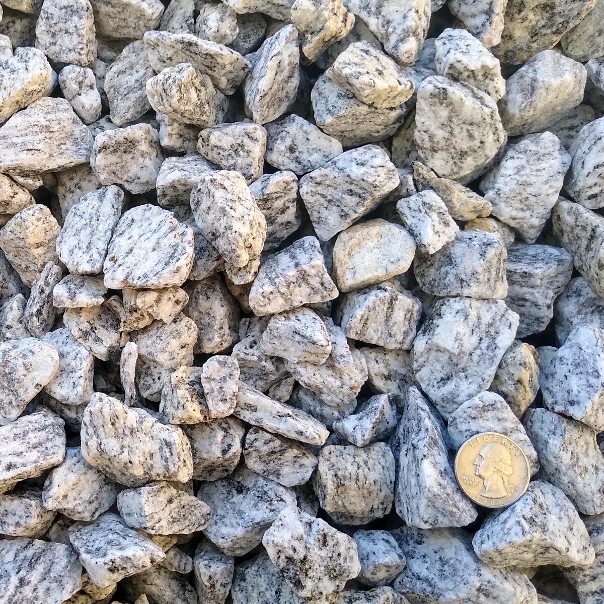 Bulk Decorative Zebra Stone | SiteOne US