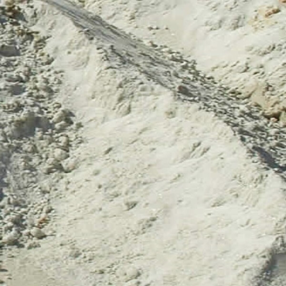 Bagged White Sand Extra Fine (50 lb. Bag) | SiteOne US