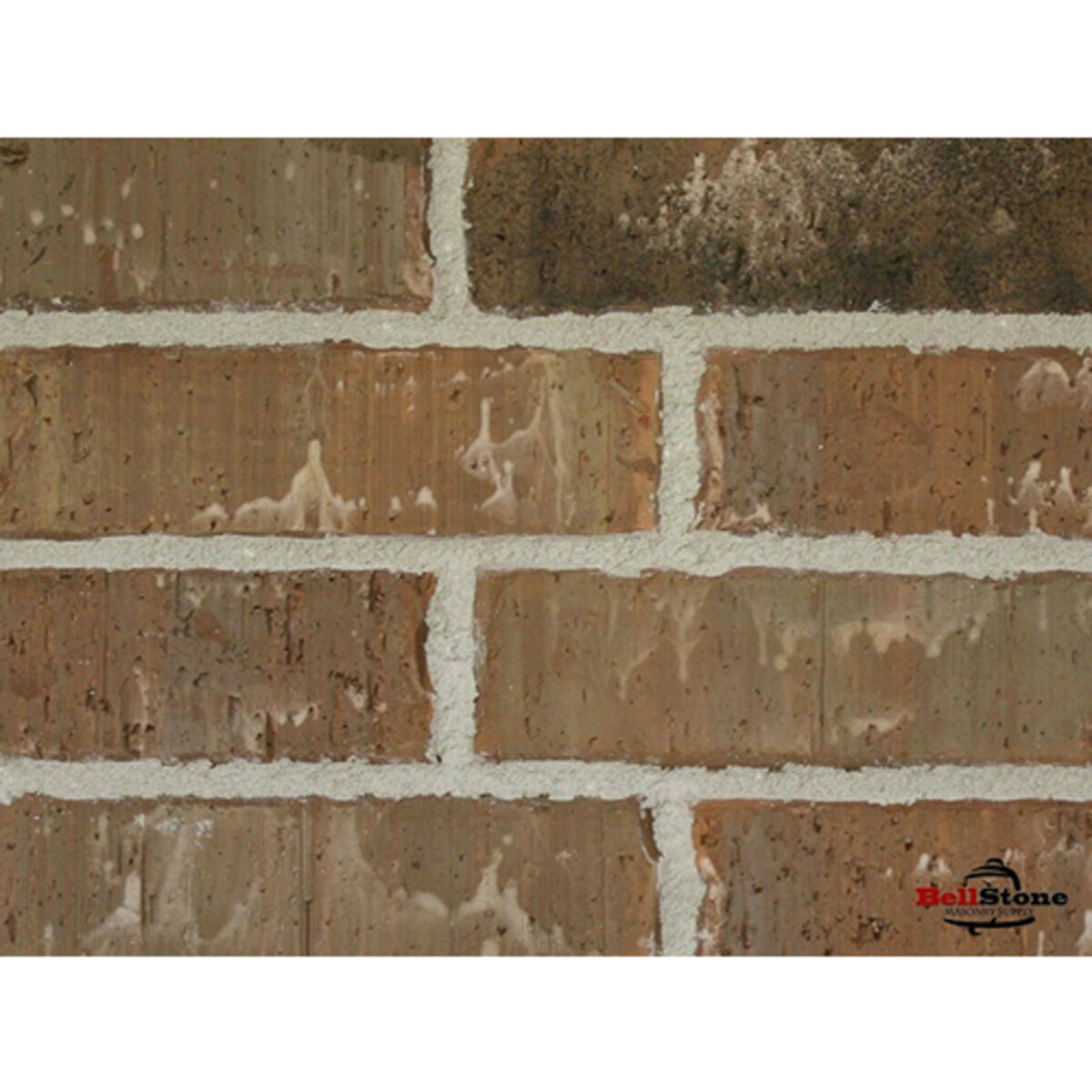 Binsa Brick Country Club King Size 9.6 in. x 2-5/8 in. x 2-5/8 in. (496 ...