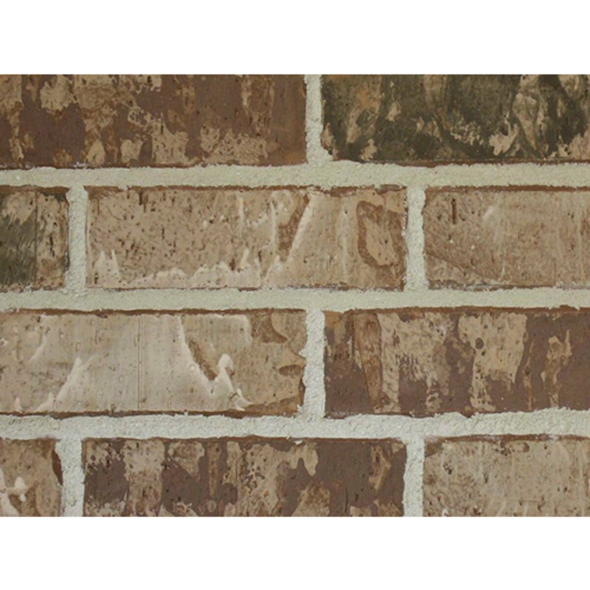 Binsa Brick Mocha King Size 9.6 in. x 2-5/8 in. x 2-5/8 in. (504 pc ...